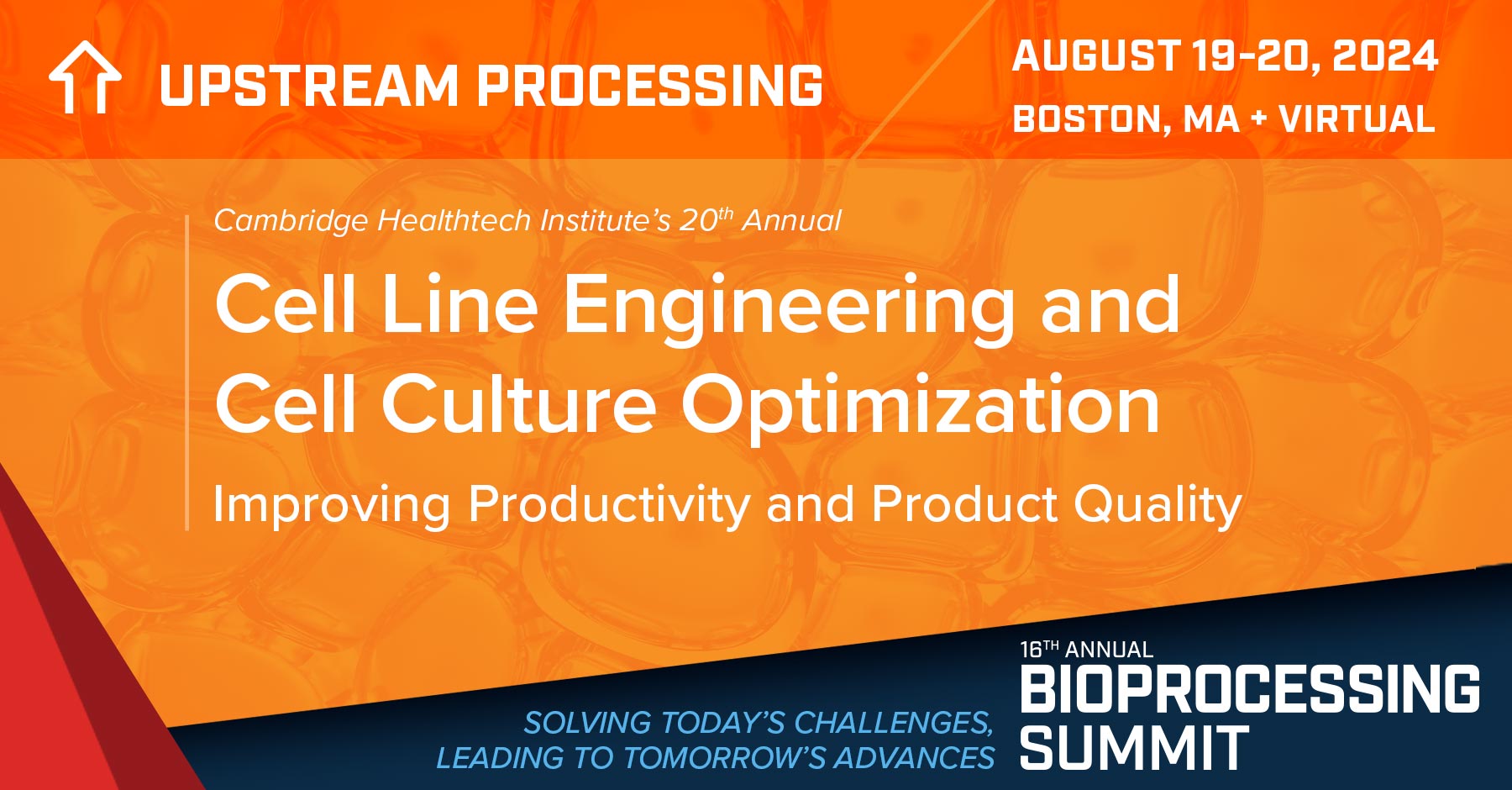 Cell Line Engineering & Cell Culture Optimization | The Bioprocessing ...